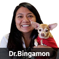 Our Veterinarians - Vet in Corona | Corona Animal Emergency Center
